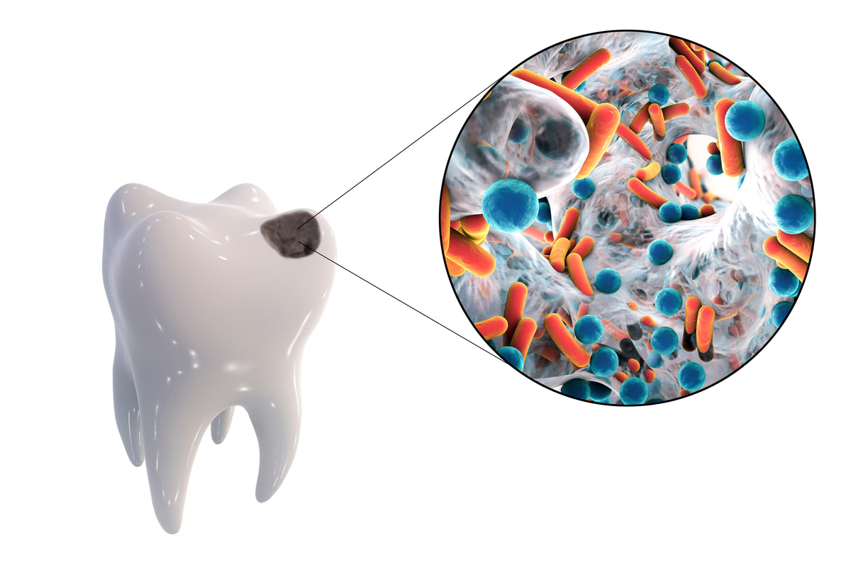 The European Federation of Periodontology (EFP): "Preventive oral heal ...